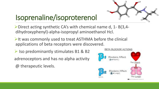 Catecholamines & noncatecholamines | PPTX | Endocrine and Metabolic ...
