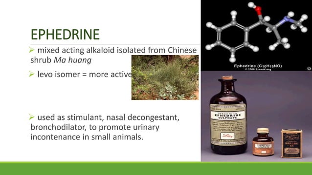 Catecholamines & noncatecholamines | PPTX | Endocrine and Metabolic ...
