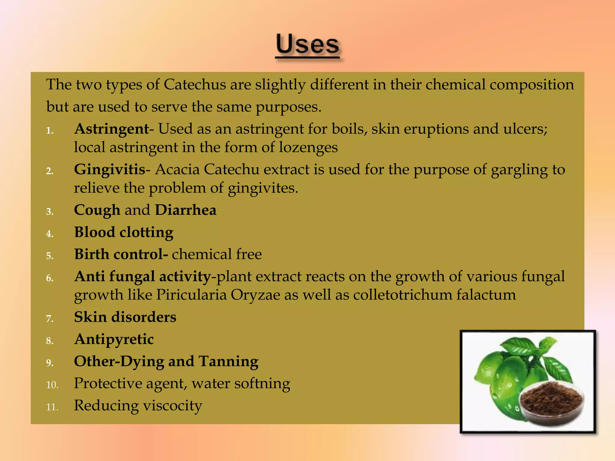 CATECHU- BLACK AND PALE | PPTX