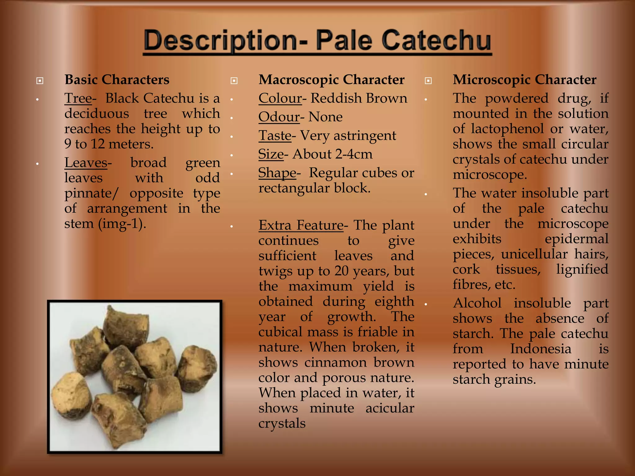 CATECHU- BLACK AND PALE | PPTX