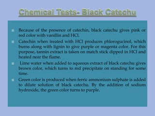 CATECHU- BLACK AND PALE | PPTX