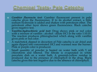 CATECHU- BLACK AND PALE | PPTX