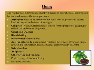 CATECHU- BLACK AND PALE | PPTX