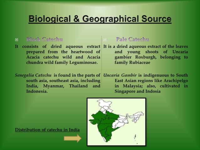 CATECHU- BLACK AND PALE | PPTX