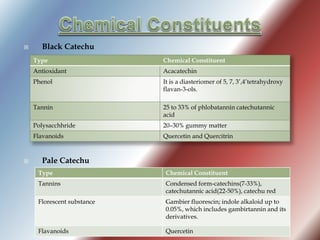 CATECHU- BLACK AND PALE | PPTX
