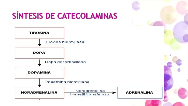 Catecolaminas