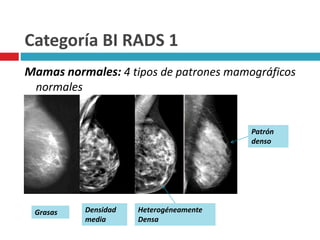 Categorías bi rads en los informes mamográficos | PPTX