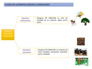 CATEGORÍAS GRAMATICALES EL SUSTANTIVO Y EL ADJETIVO.ppt
