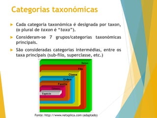 Categorias taxonómicas | PPTX