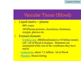 histology tissue categories | PPT