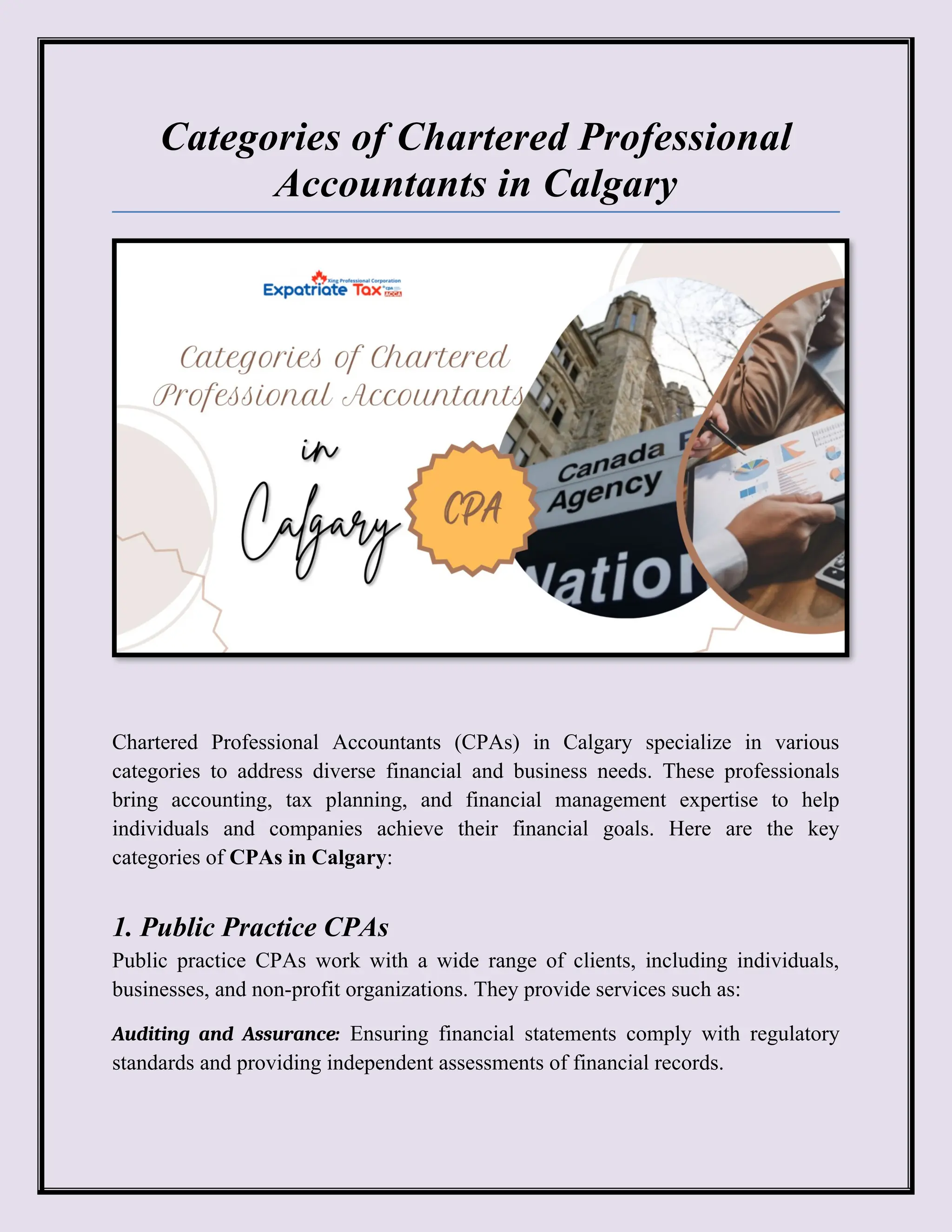 Categories of Chartered Professional Accountants in Calgary | PDF