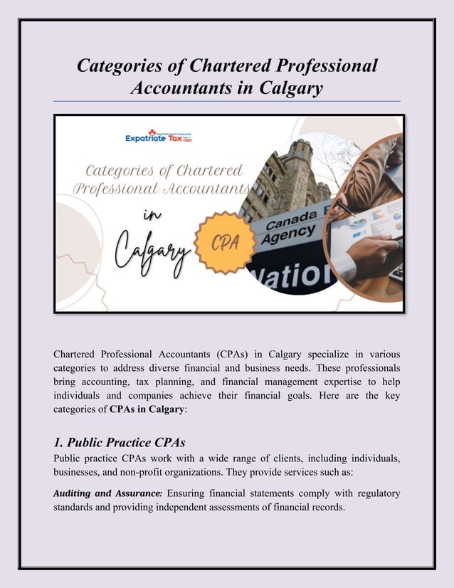Categories of Chartered Professional Accountants in Calgary | PDF