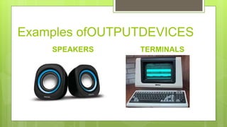 Categories of computer hardware | PPTX