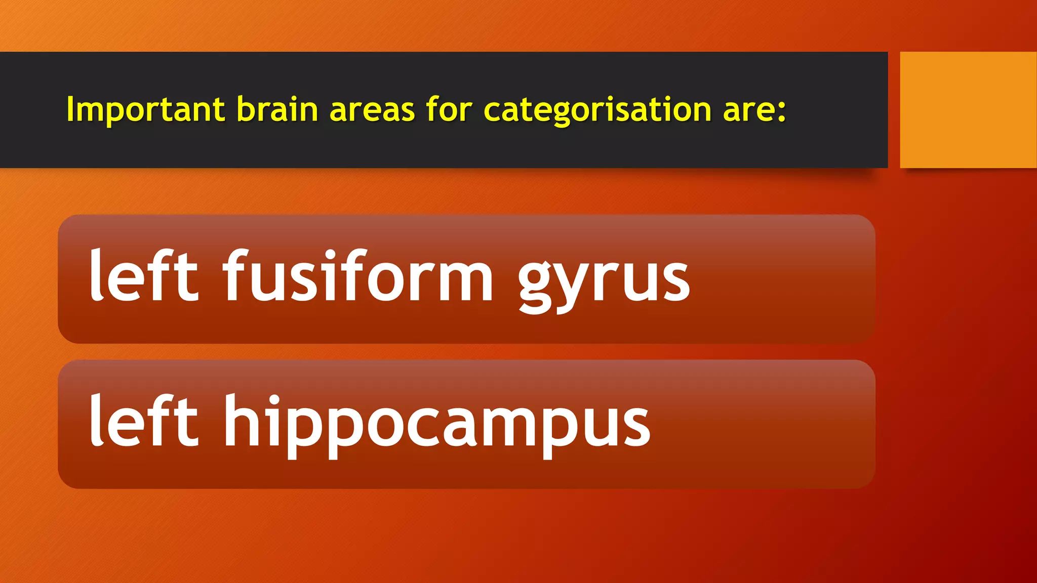 Categorisation in human brain | PPSX