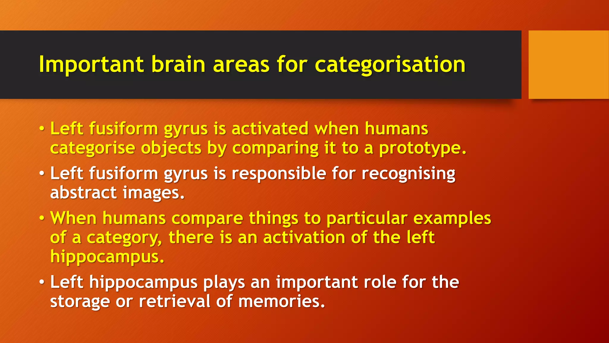 Categorisation in human brain | PPSX