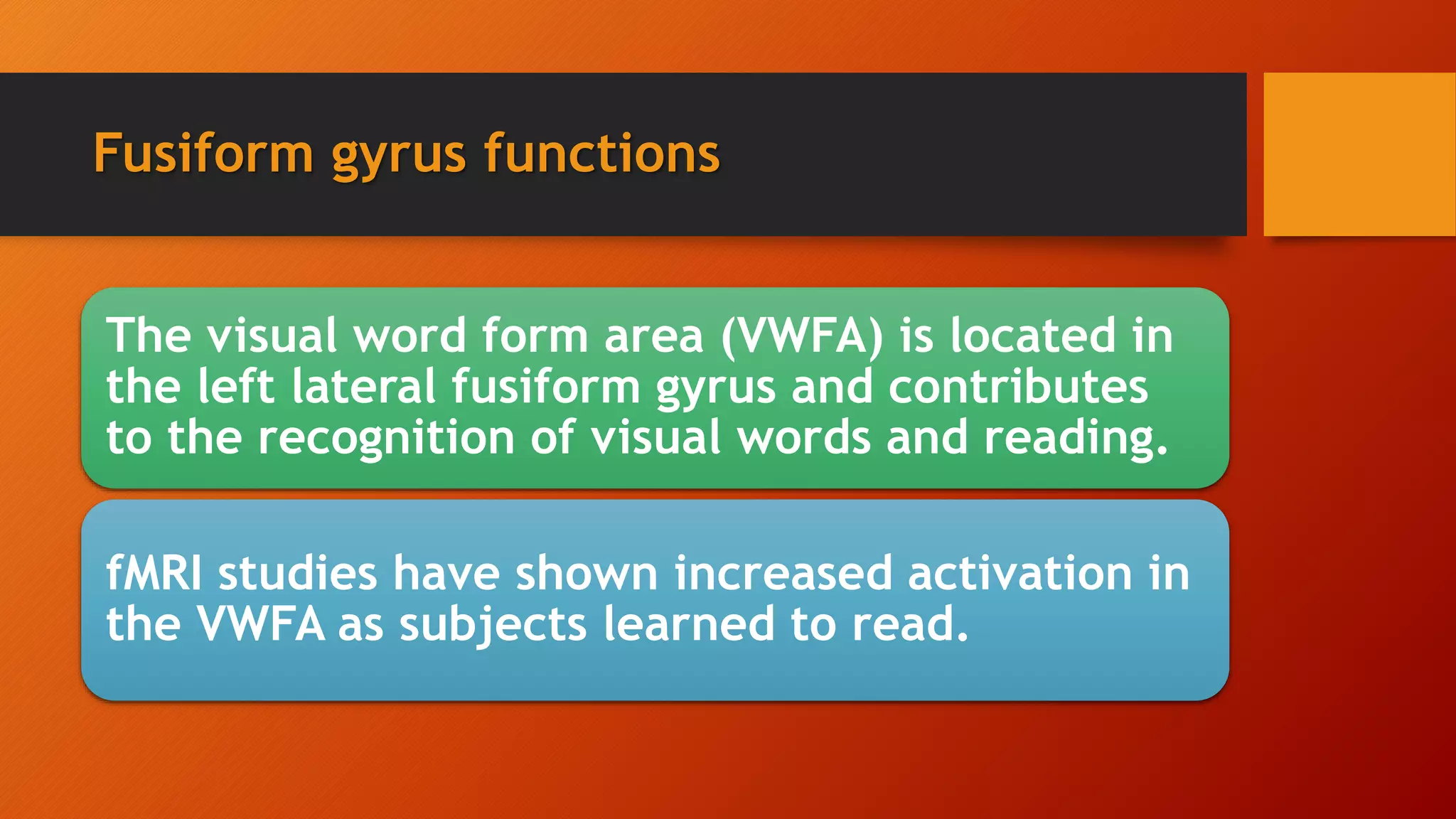 Categorisation in human brain | PPSX