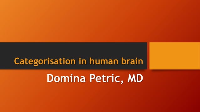 Categorisation in human brain | PPT