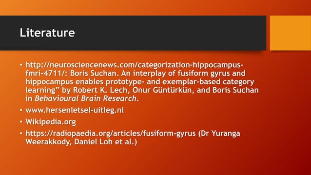 Categorisation in human brain | PPT