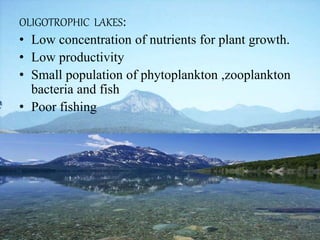 Categorisation of limnetic fisheries resources | PPTX