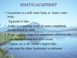 Categorisation of limnetic fisheries resources | PPTX