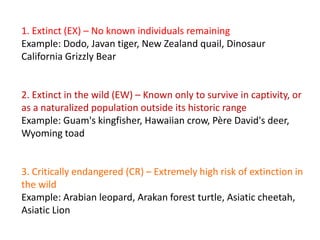 Categorization of extinct species | PPT