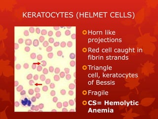 Helmet Cells