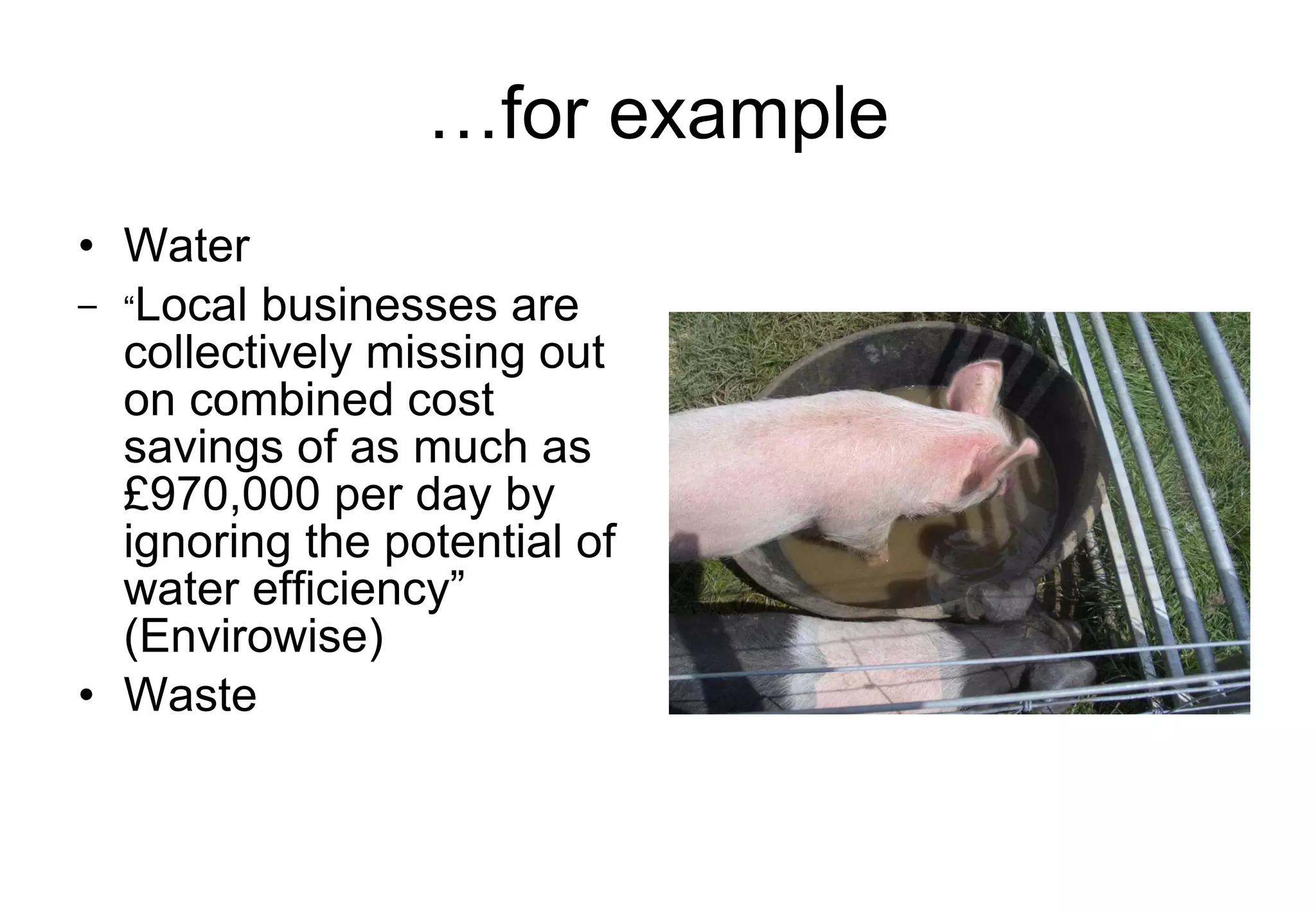 Sustainability And The Food Industry | PPT