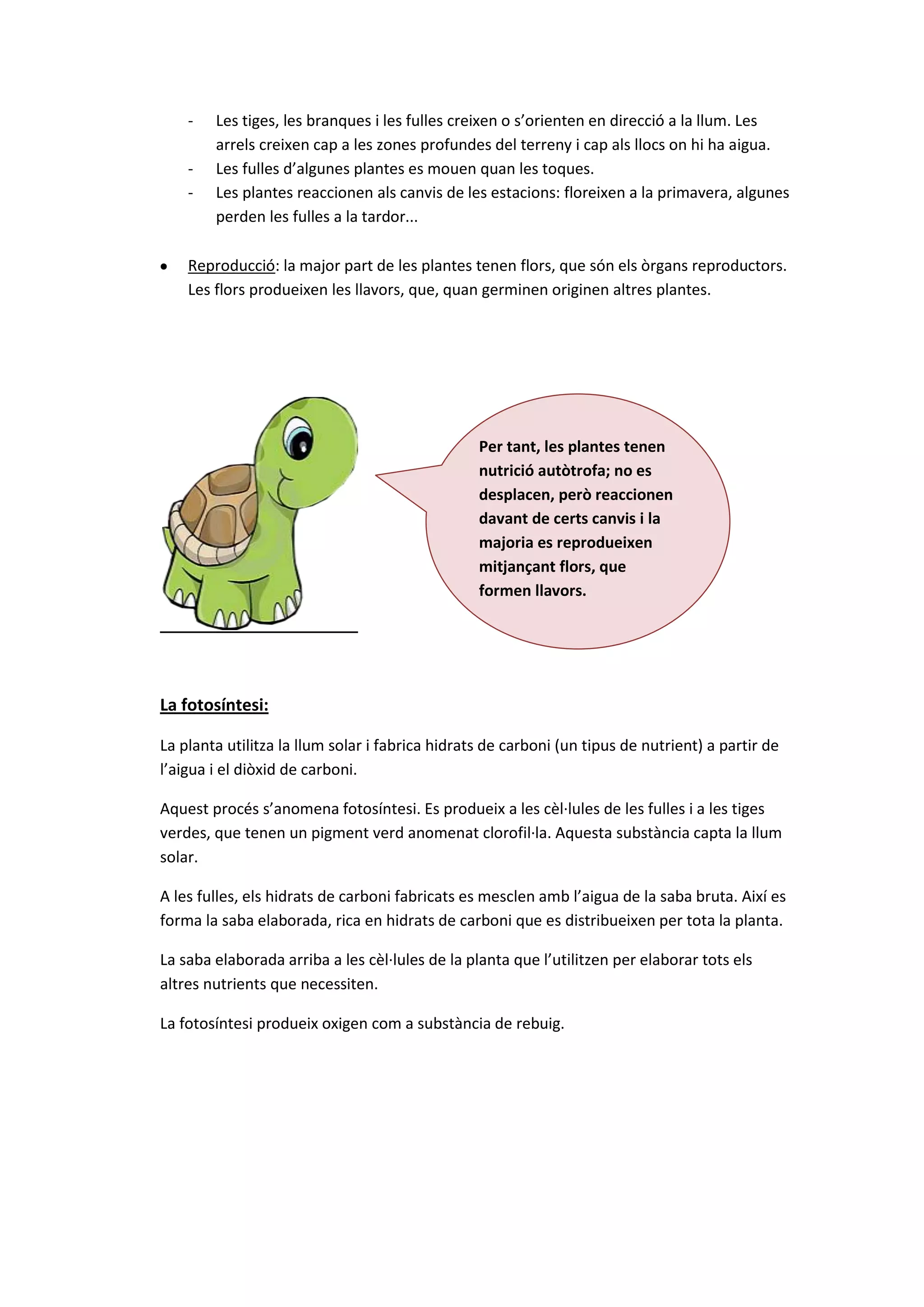 Què són les plantes? | DOCX