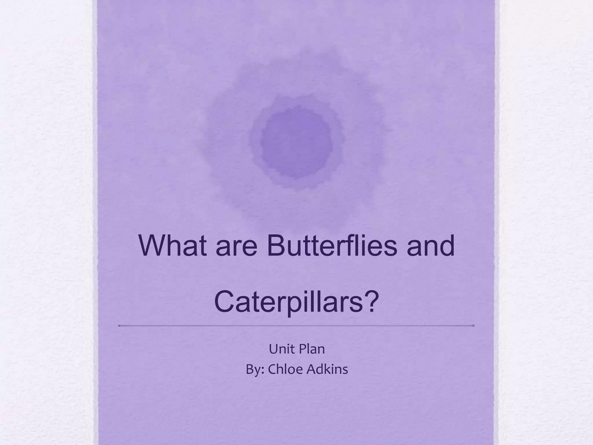 Caterpillars and butterflies | PPTX