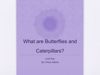Caterpillars and butterflies | PPTX