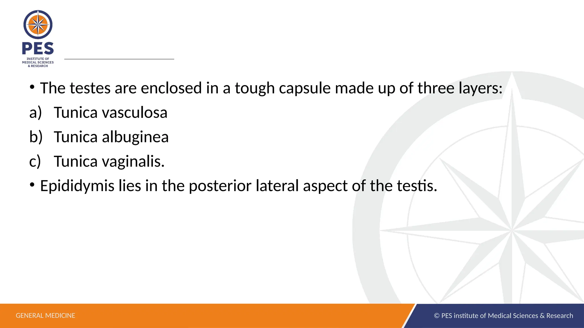TESTICULAR CARCINOMA(CA TESTIS) PPT.pptx