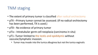 Ca testis staging TUMOR MARKER | PDF