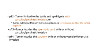 Ca testis staging TUMOR MARKER | PDF