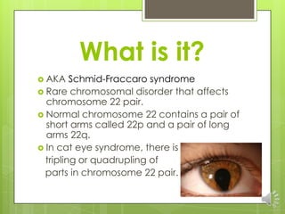 Sindrome Di Schmidt Fraccaro