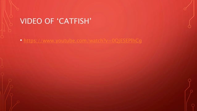 Catfish | PPT
