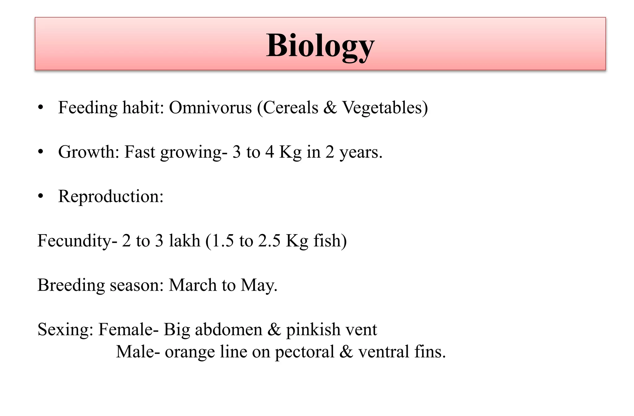 Cat fish bio. & culture | PPTX