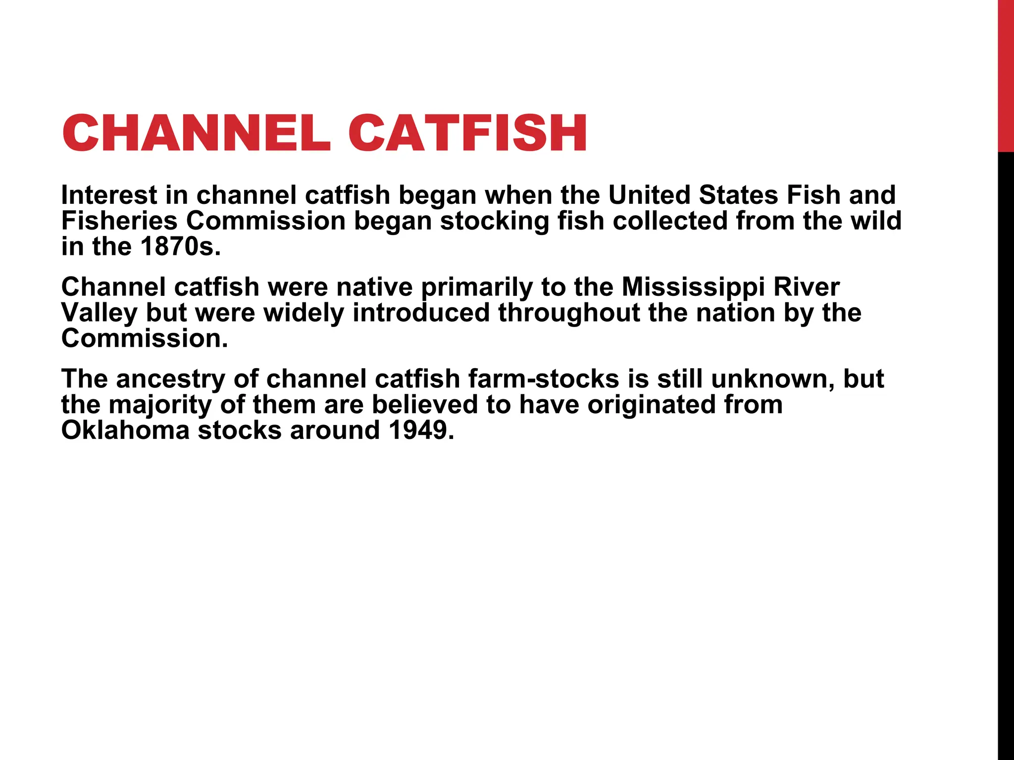 CATFISH CULTURE-1.pdf