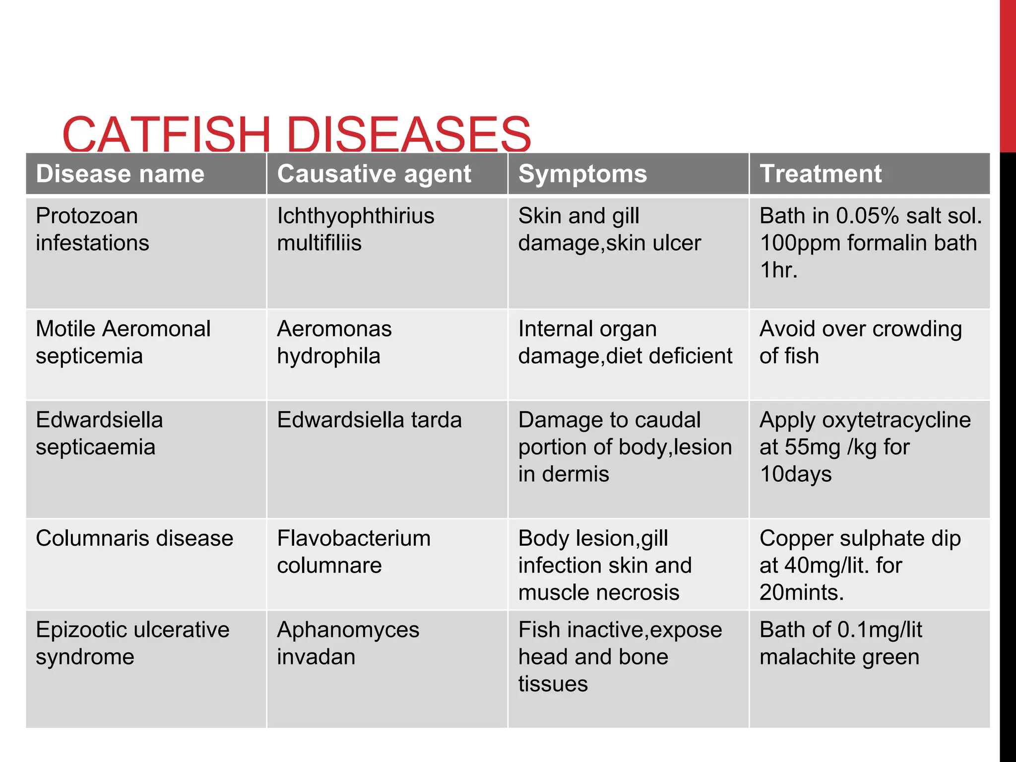 CATFISH CULTURE-1.pdf