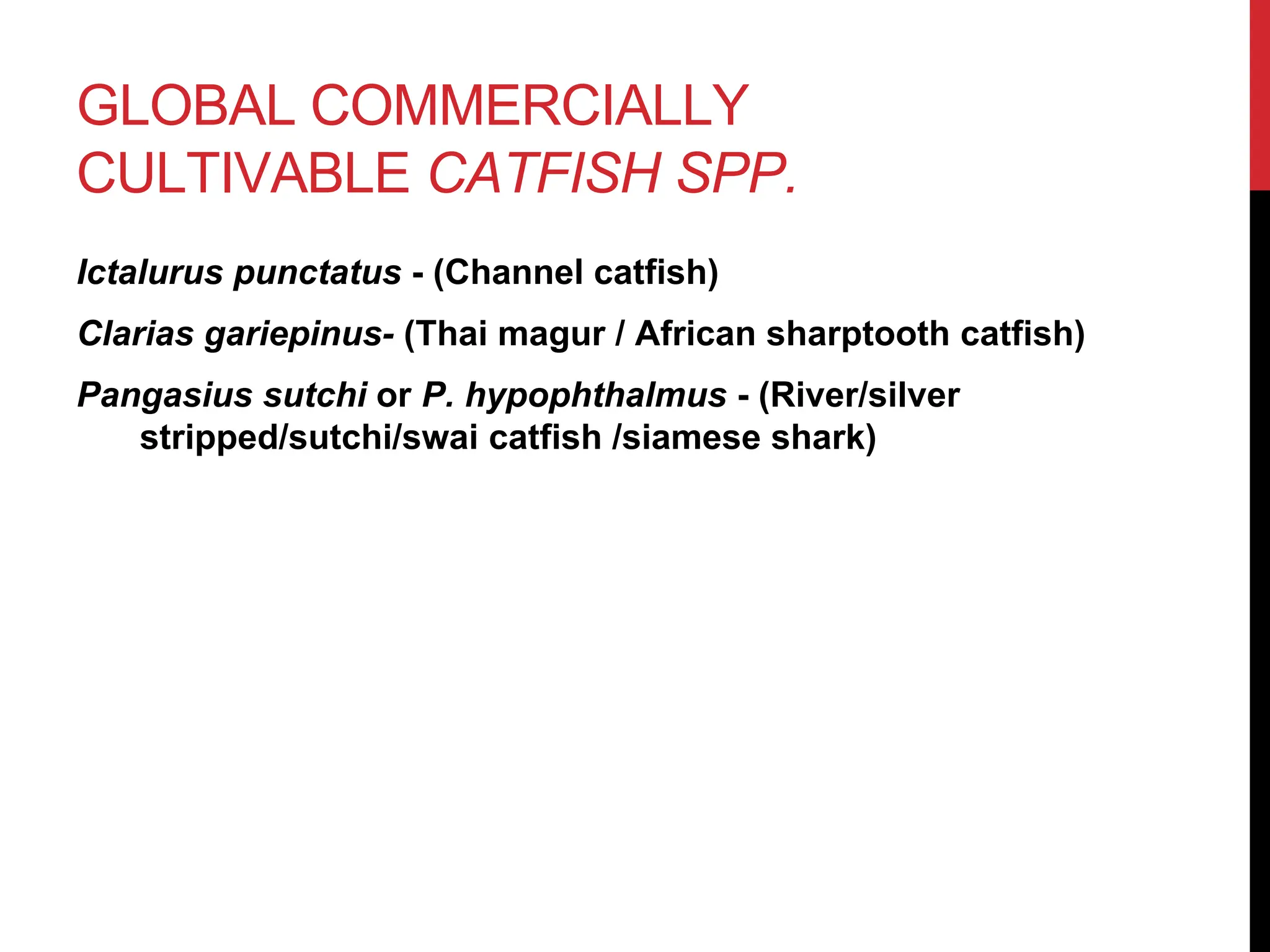 CATFISH CULTURE-1.pdf