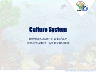 ethics ppooooppppppppppppppppppppppppppp | PPTX