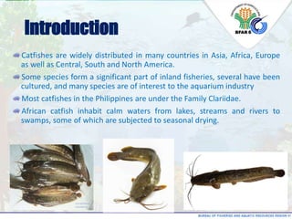 ethics ppooooppppppppppppppppppppppppppp | PPTX