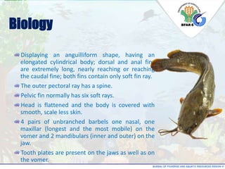 ethics ppooooppppppppppppppppppppppppppp | PPTX