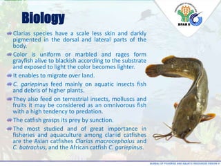 ethics ppooooppppppppppppppppppppppppppp | PPTX