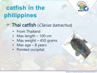 ethics ppooooppppppppppppppppppppppppppp | PPTX