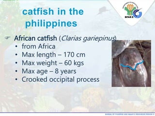 ethics ppooooppppppppppppppppppppppppppp | PPTX