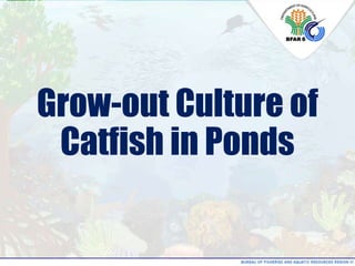 ethics ppooooppppppppppppppppppppppppppp | PPTX