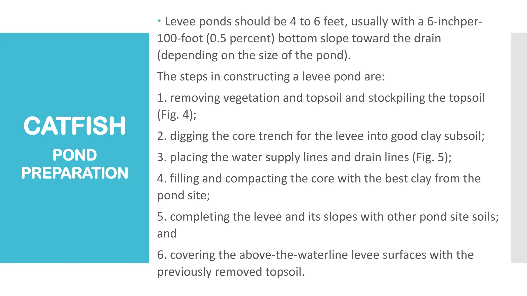 Catfish Production - Technology and Livelihood Education pdf | PDF