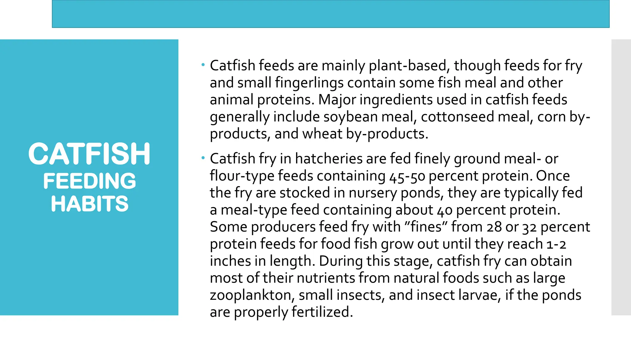 Catfish Production - Technology and Livelihood Education pdf | PDF