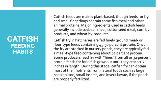Catfish Production - Technology and Livelihood Education pdf | PDF ...