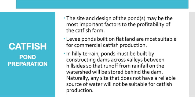 Catfish Production - Technology and Livelihood Education pdf | PDF ...